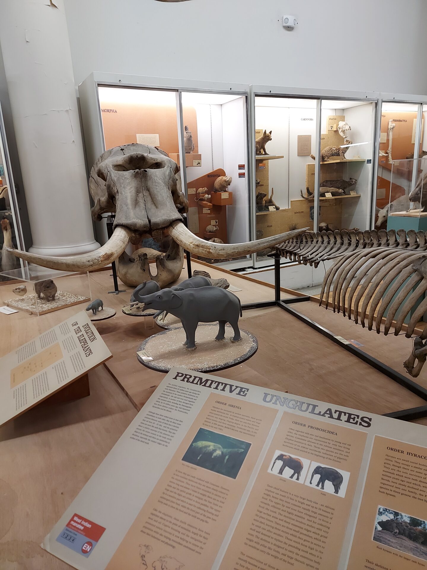 Climate work in action - Museums Galleries Scotland