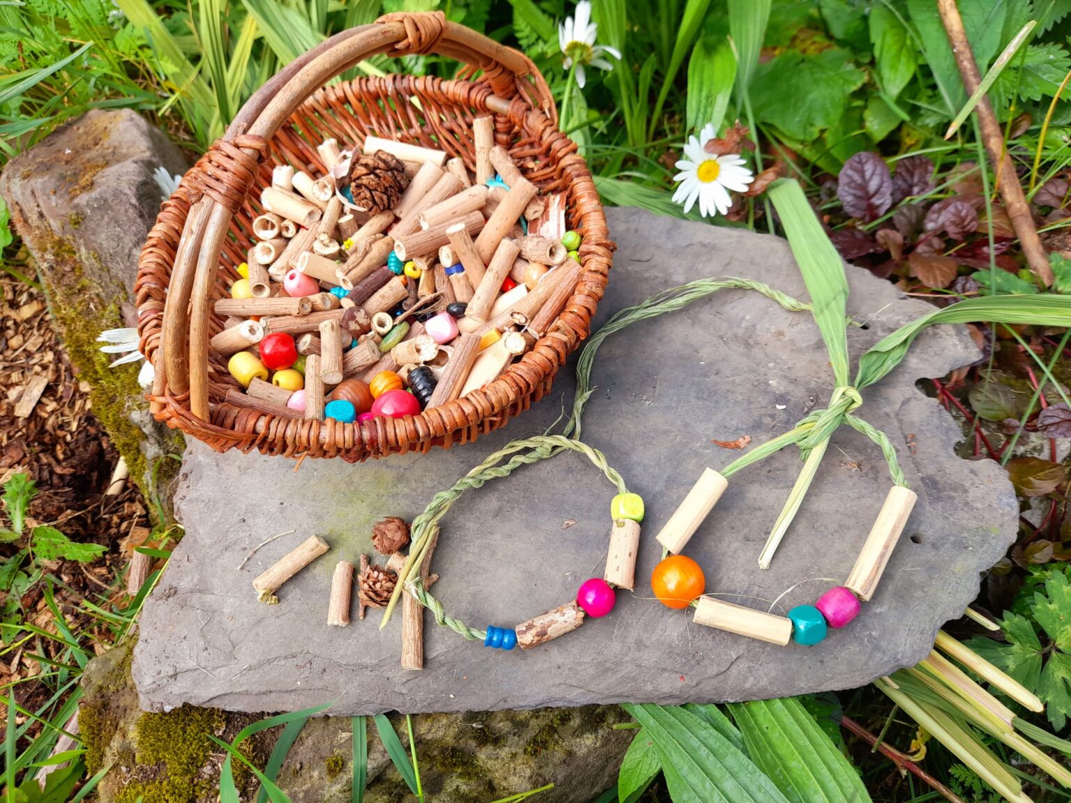 Focus on: climate action - Museums Galleries Scotland