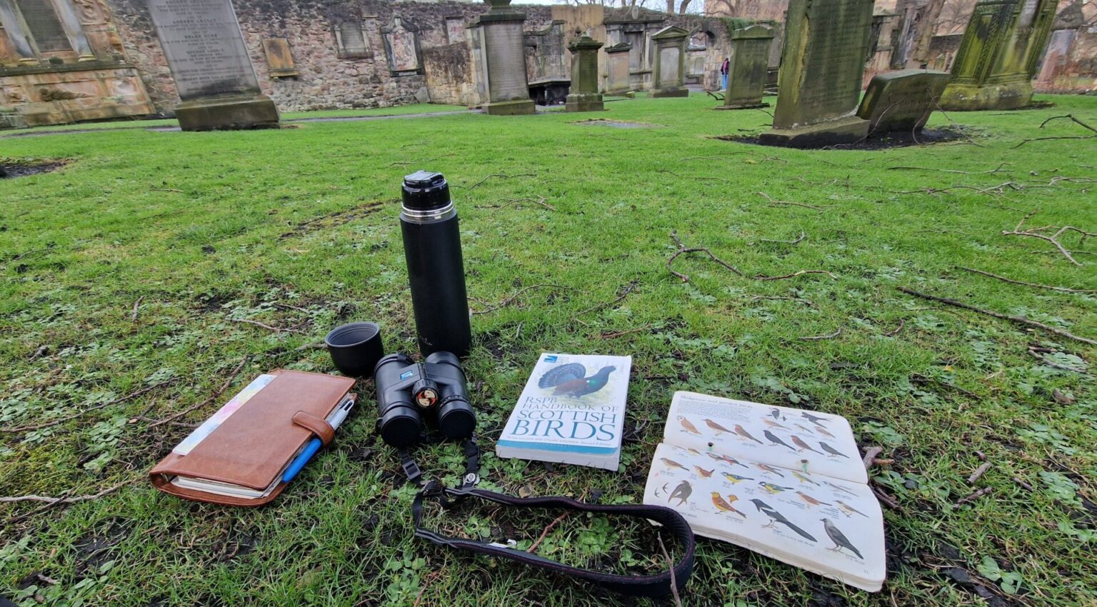 Big Garden Bird Watch: Museums as hubs for citizen science - Museums ...